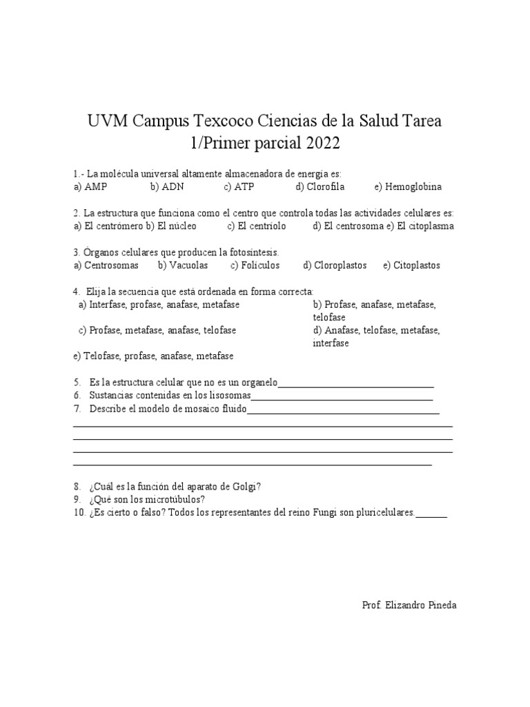 Tarea 1 1P | PDF