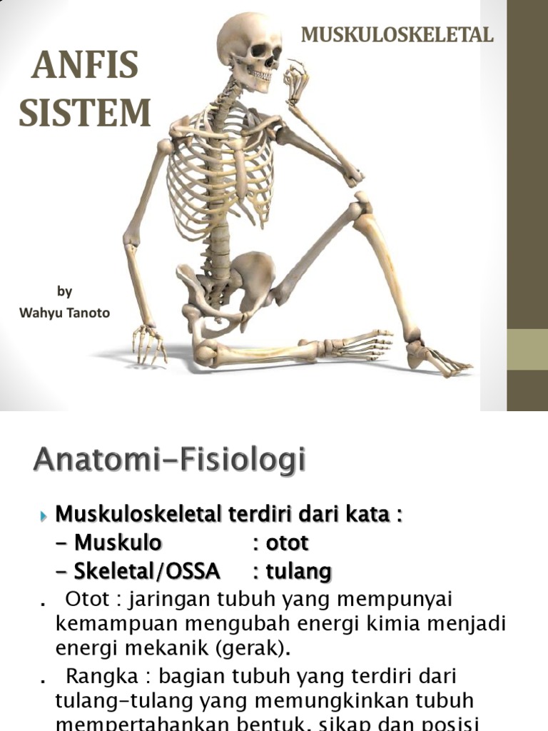 AnFis SISTEM SKELETAL | PDF