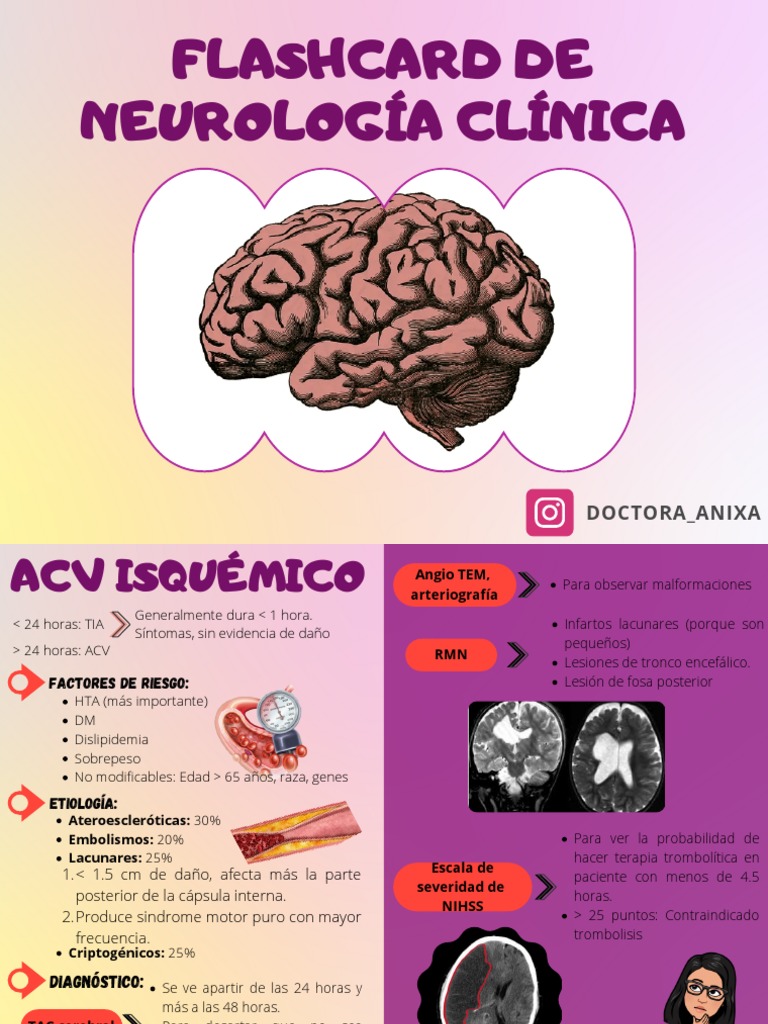 Flascard Neurología Clínica | PDF | Sistema nervioso | Enfermedades y ...