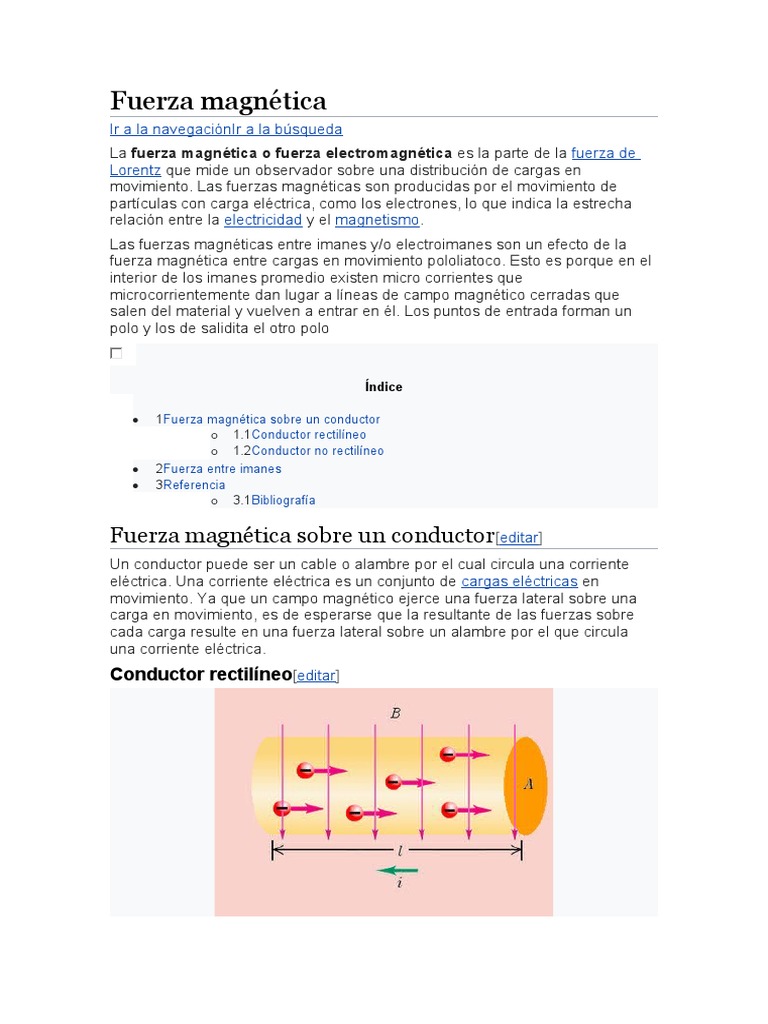 Fuerza Magnética | PDF | Corriente eléctrica | Magnetismo