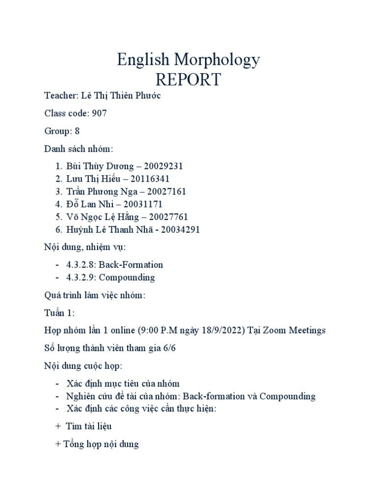 Group Work Report | PDF