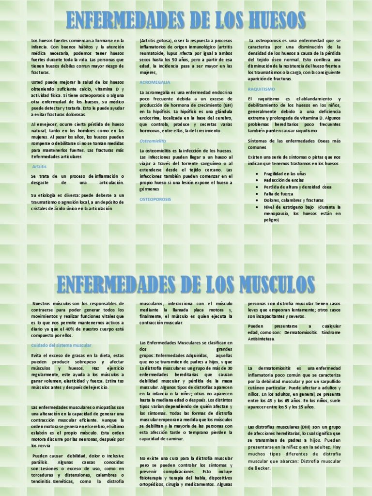 Los Huesos Fuertes Comienzan A Formarse En La Infancia Pdf Hueso