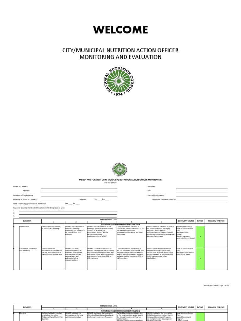 Mellpi Pro Form For Cmnao (Rnet Use) | PDF | Databases | Capacity Building