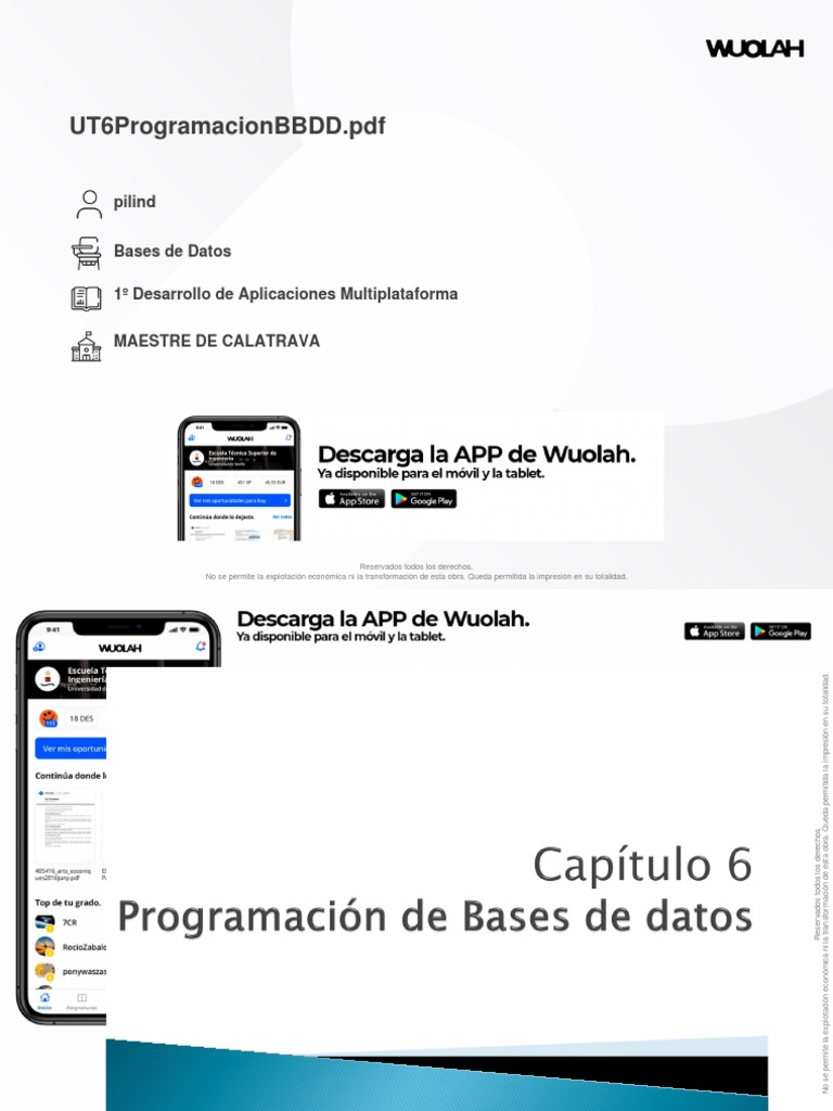 Apuntes - Tema 6 Bases de Datos Daw-Dam | PDF | Pl / Sql | Datos de ...