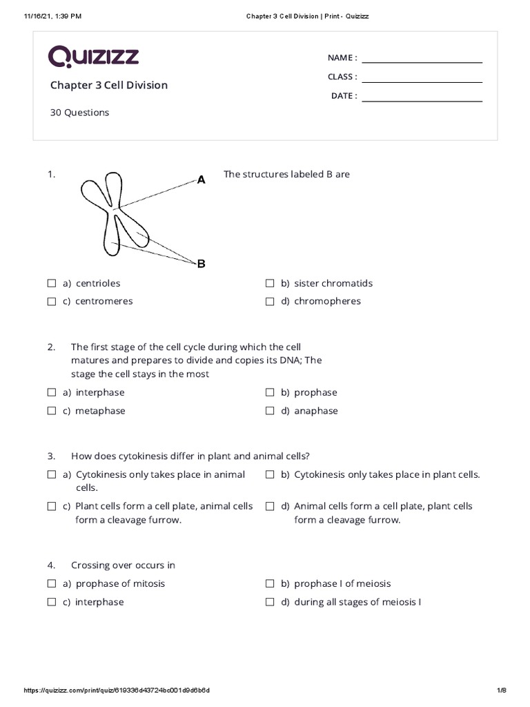 Cell Division Quizizz Answer Key | PDF | Meiosis | Mitosis