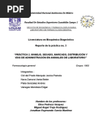 Anatomía y Cuidado de la Rata Wistar | PDF