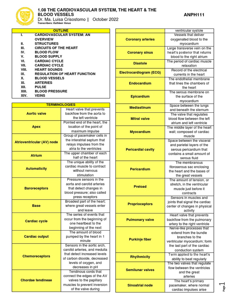 1.08 - The Cardiovascular System, The Heart & The Blood Vessels | PDF ...