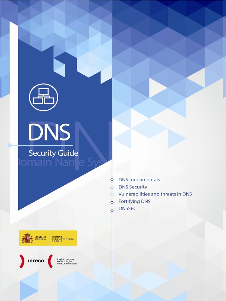 DNS Security Guide | PDF | Domain Name System | Domain Name