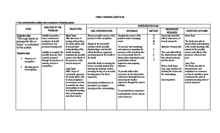 Family Nursing Plan: Mosquito Control | PDF | Nursing | Mosquito