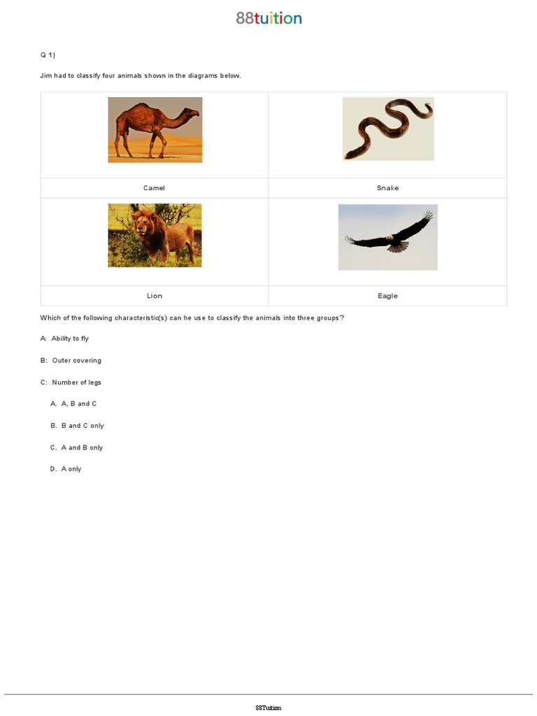 Question Paper | PDF | Gastrointestinal Tract | Fungus