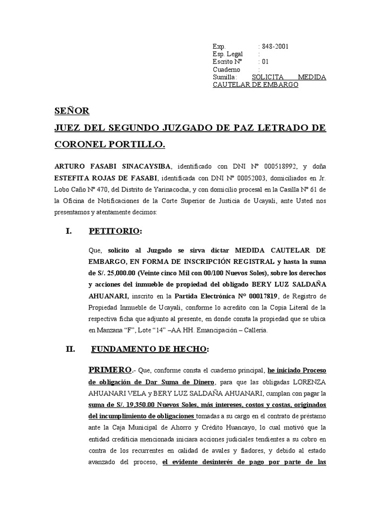 Solicitud de embargo preventivo sobre inmueble | PDF | Mandato | Justicia