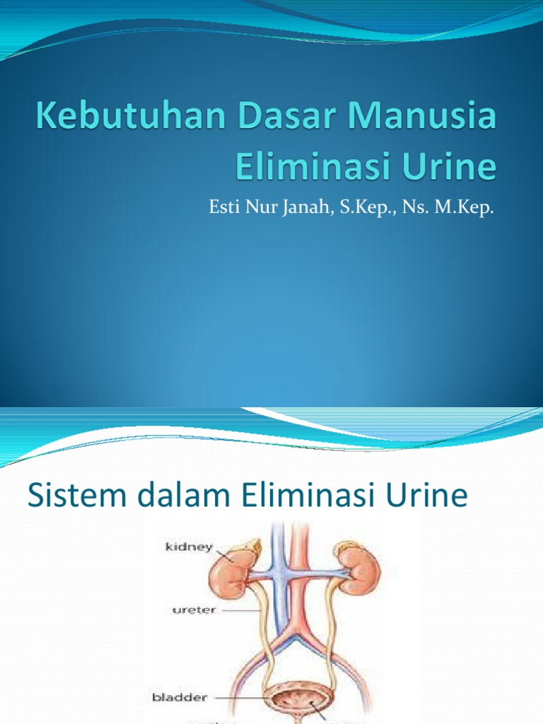 4.kebutuhan Eliminasi Urine | PDF