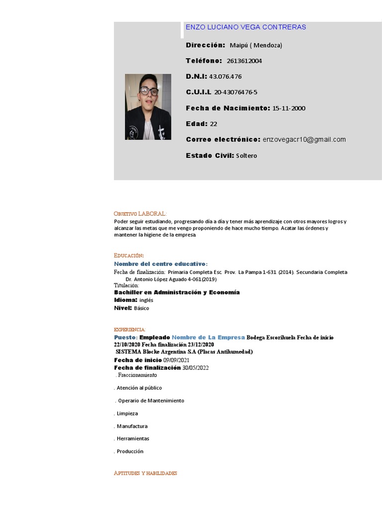 Enzo Luciano Vega Contreras CV 2022 5 Oct | PDF