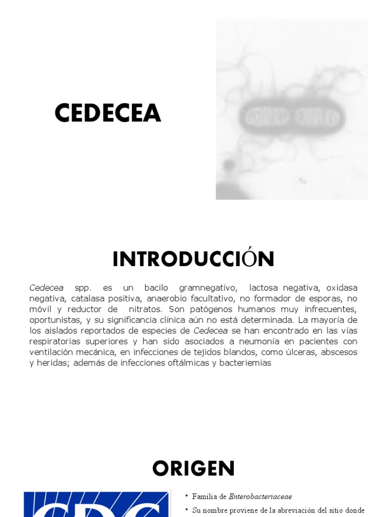 CEDECEA | PDF | Especialidades Medicas | Medicina CLINICA