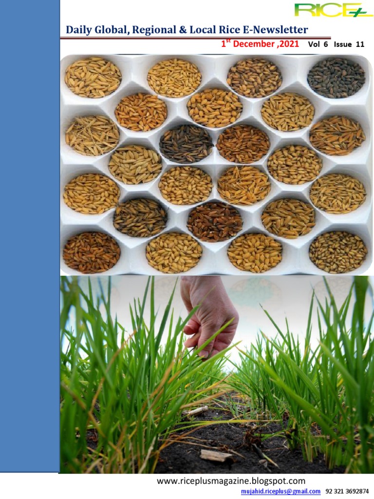 1st December, 2021 Daily Global Regional Local Rice E-Newsletter | PDF ...
