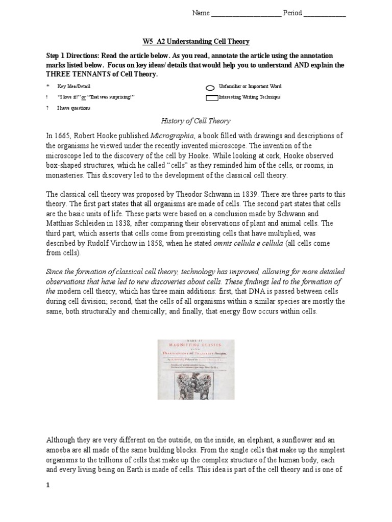 W5 A2 Cell Theory Comic Strip | PDF | Stem Cell | Cell (Biology)