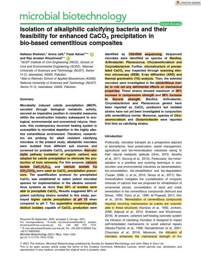4.0 SHAHEEN Et Al 2021 MICP Isolation | PDF | Calcite | Carbon Dioxide