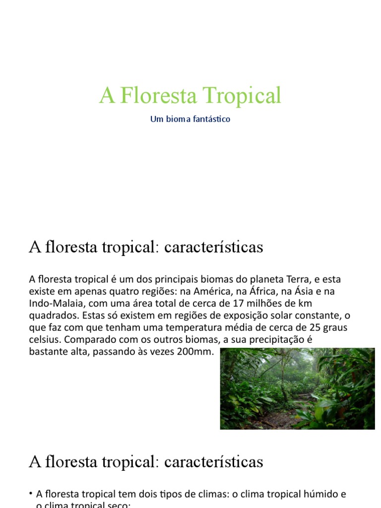 A Floresta Tropical | PDF