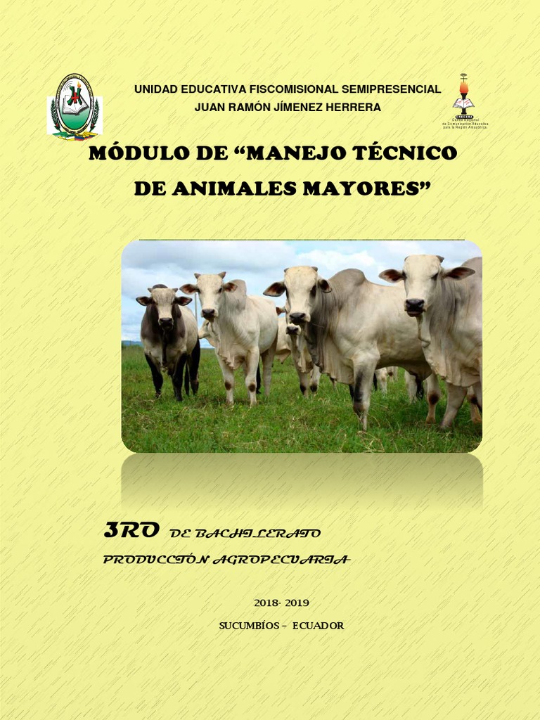 Crianza y Manejo de Animales Mayores | PDF | Testículo | Sistema ... Crianza y Manejo de Animales Mayores | PDF | Testículo | Sistema ...