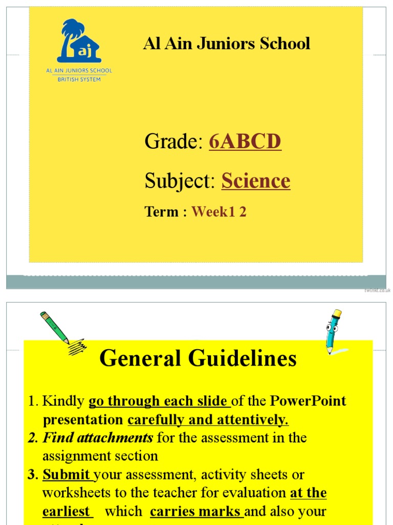 Gr6 Revision - PPT Ete 1 | PDF | Bone | Joint