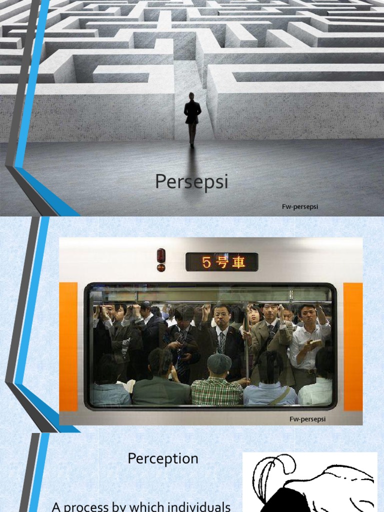 Persepsi | PDF | Bias | Perception