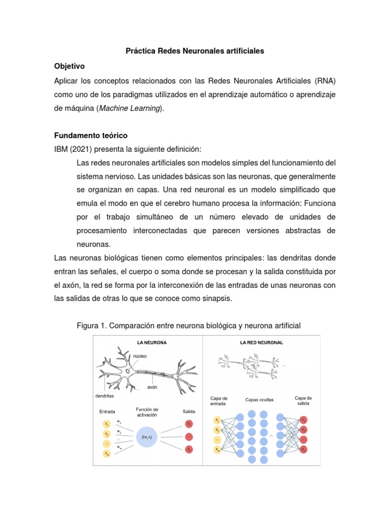 Practica Redes Neuronales Artificiales | PDF