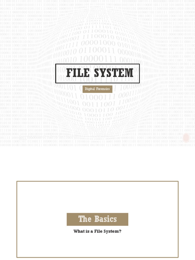 Day 1 2b Filesystem Pdf File System Computer File