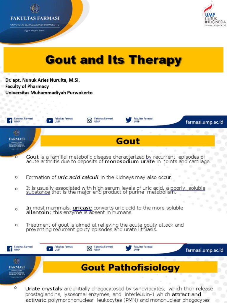Gout Therapy Guide | PDF | Gout | Organic Compounds