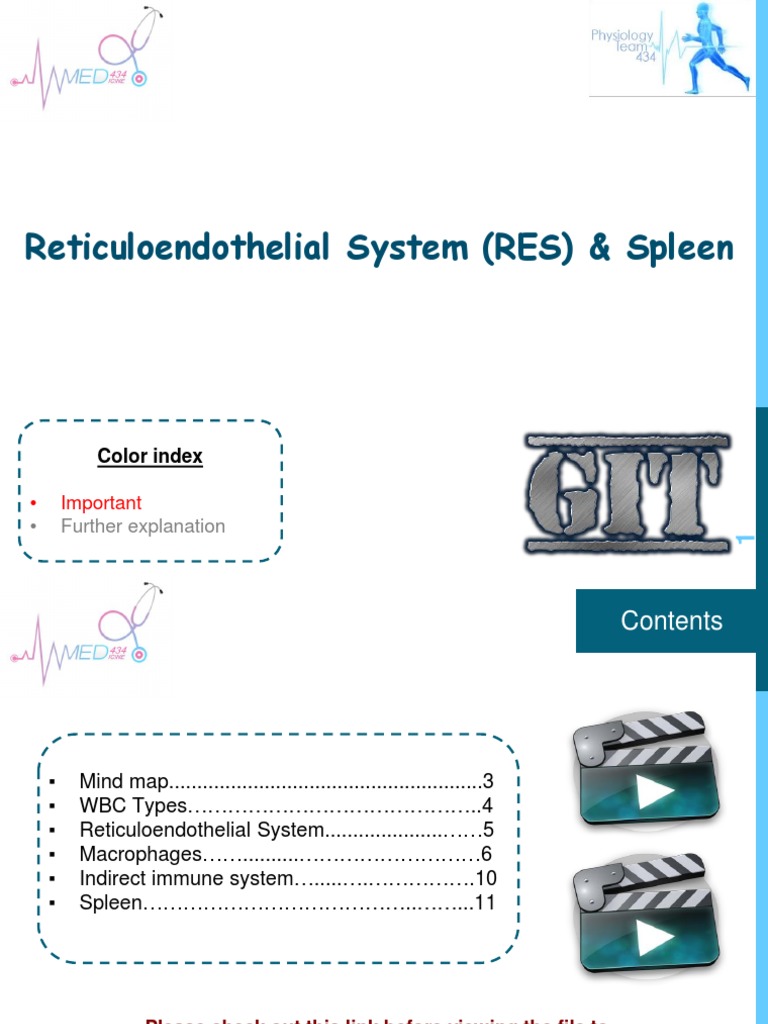 Reticuloendothelial System Overview | PDF | Granulocyte | Spleen