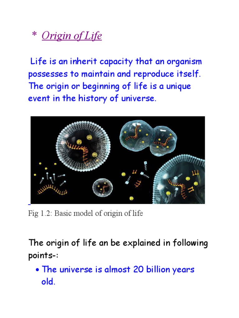Origin of Life | PDF