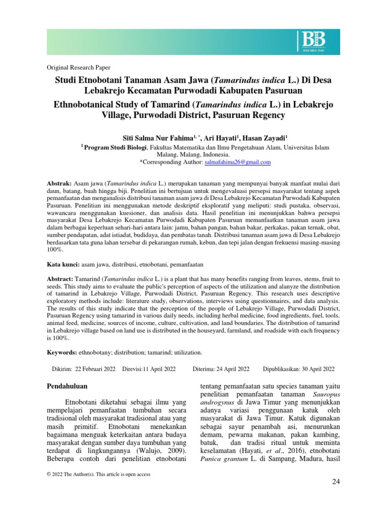 Etnobotani Asam Jawa | PDF