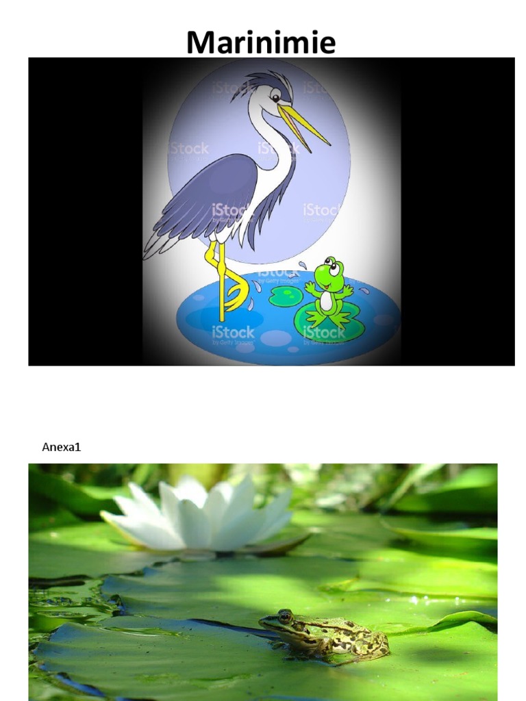 Marinimie | PDF