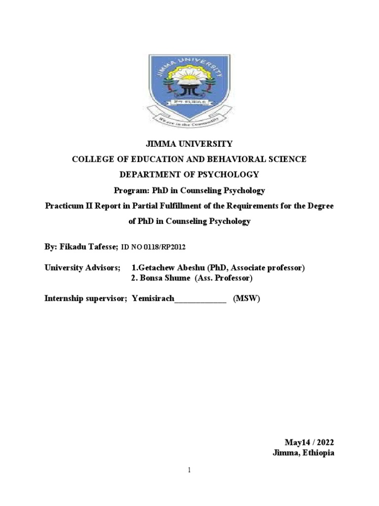 Practicum II Report Fikadu T. New | PDF