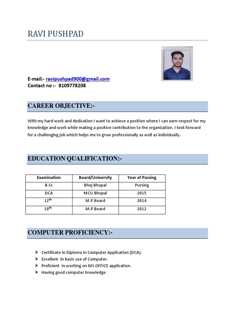 My New CV | PDF | Career & Growth | Business