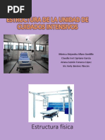 Areas, Organizacion y Funcionamiento de La Ucin | PDF | Hospital ...