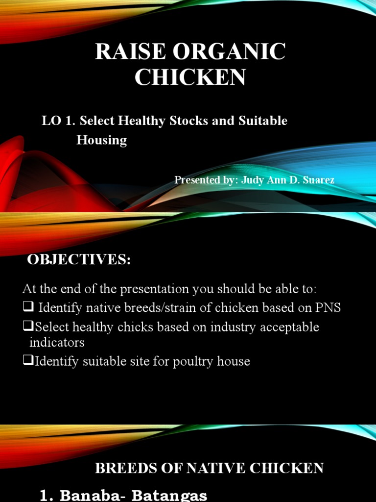 Raise Organic Chicken | PDF | Broiler | Chicken