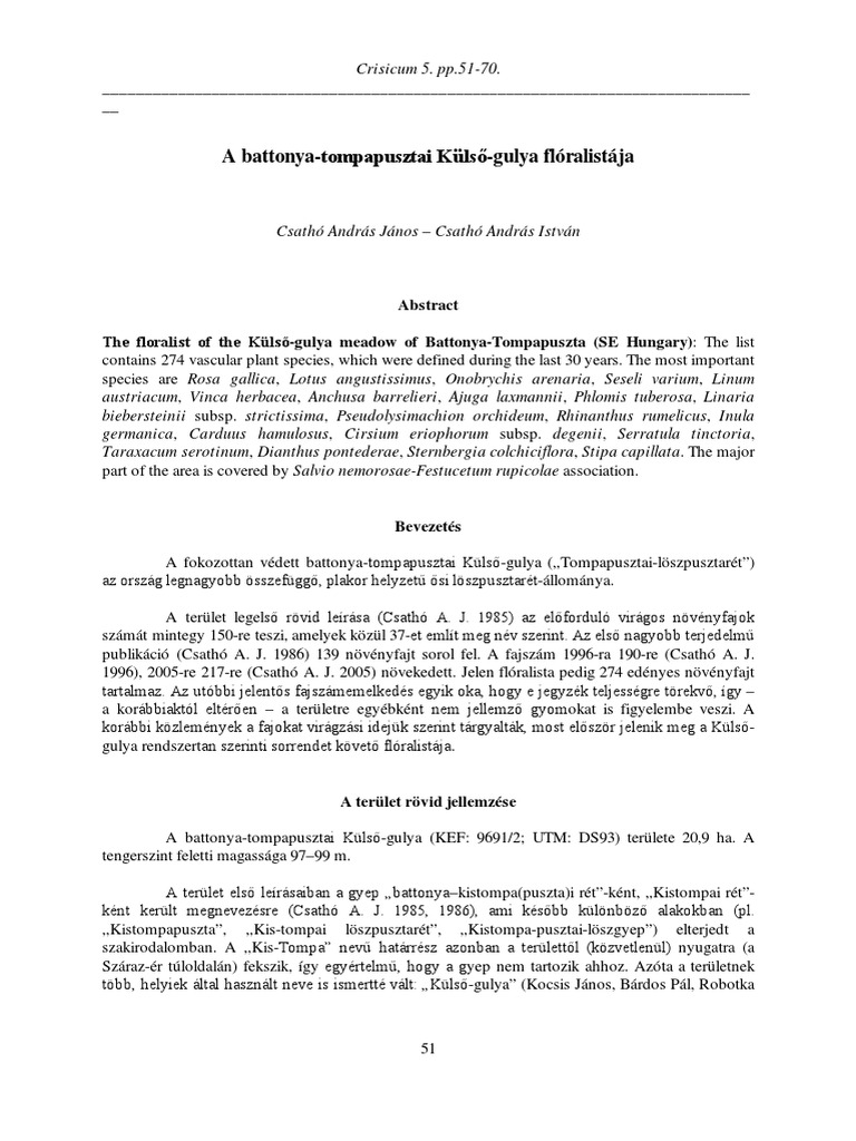 2009 CsAJ-CsAI Kulso-Gulya | PDF