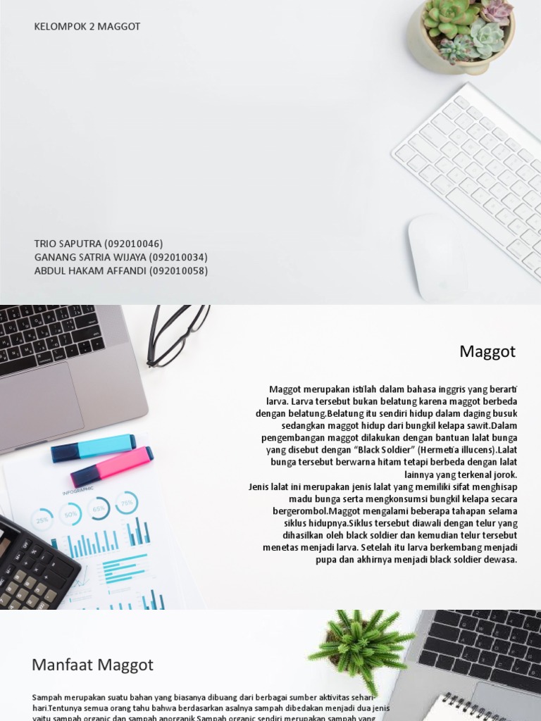 Presentasi PPT Maggot | PDF