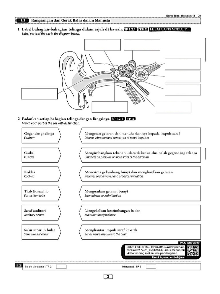 Bab1 F3 Sains Revision | PDF