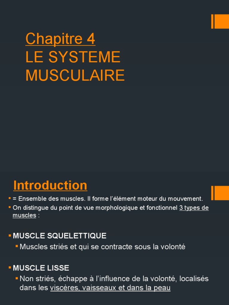 Chapitre 4 Le Systeme Musculaire | PDF | Muscle squelettique | Tendon