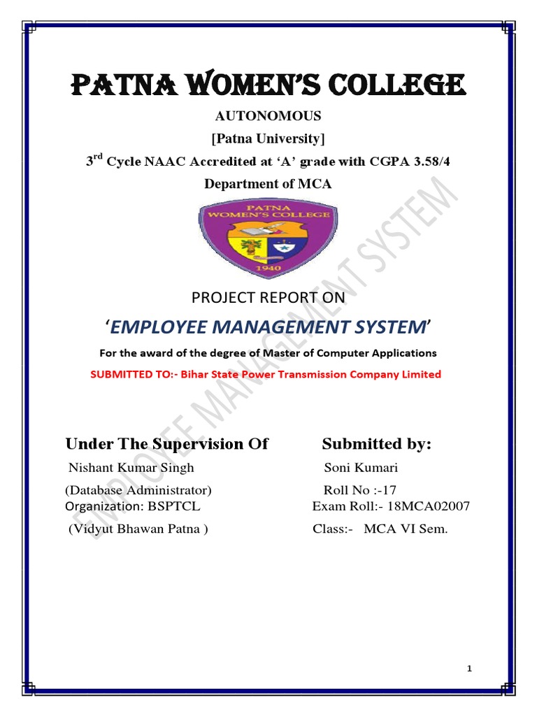 Ems Project Report BSPTCL 17 PWC | PDF | Software Development Process ...