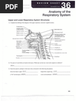 Reproductive System Chapter 16 Key Answer | PDF