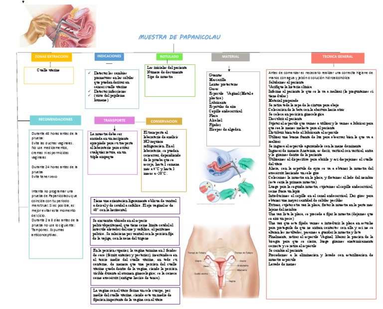 Mapa Conceptual (Papanicolau) | PDF | Vagina | Útero