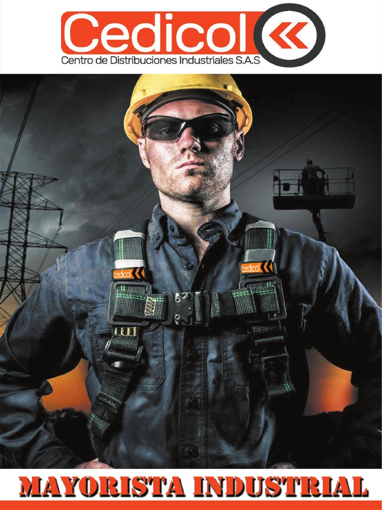 Portafolio Cedicol | PDF