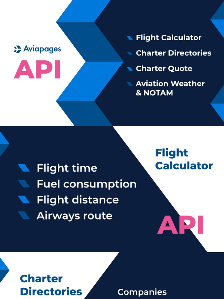 API Presentation Short | PDF | Business | Computers