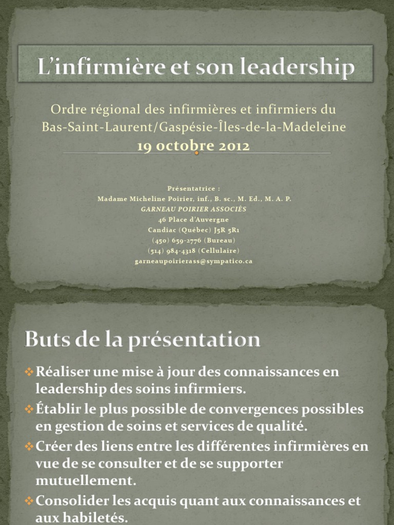 Infirmiere Et Son Leadership | PDF