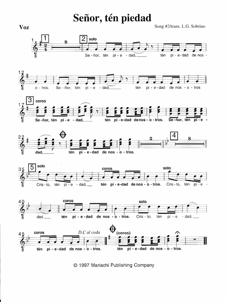 Señor Ten Piedad | PDF