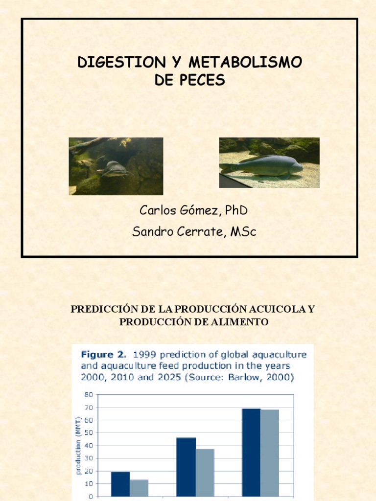 Digestion y Metabolismo de Peces | PDF | Digestión | Metabolismo