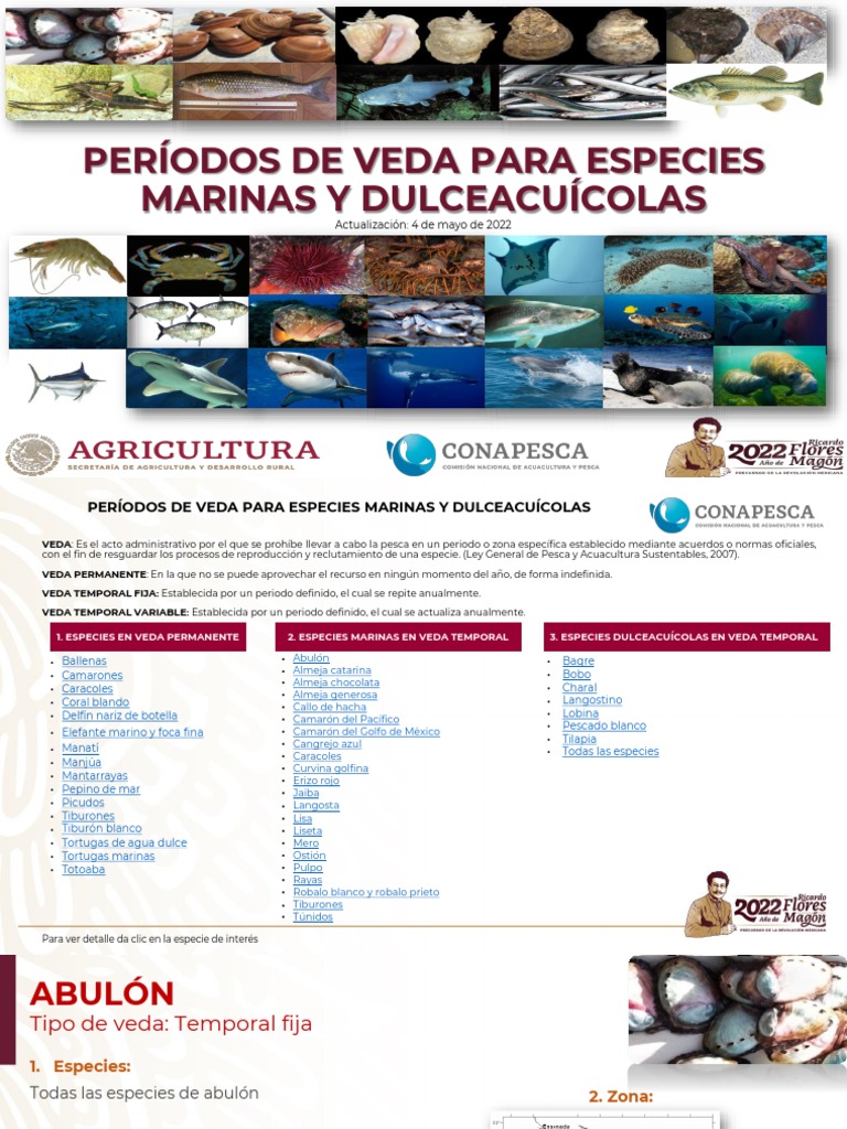 Períodos de veda para especies marinas y dulceacuícolas | PDF | Tortuga ...