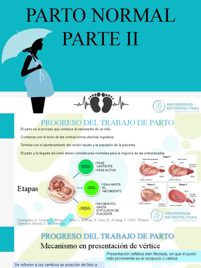 Atención Del Parto Normal Parte 2 | PDF | Parto | Placenta